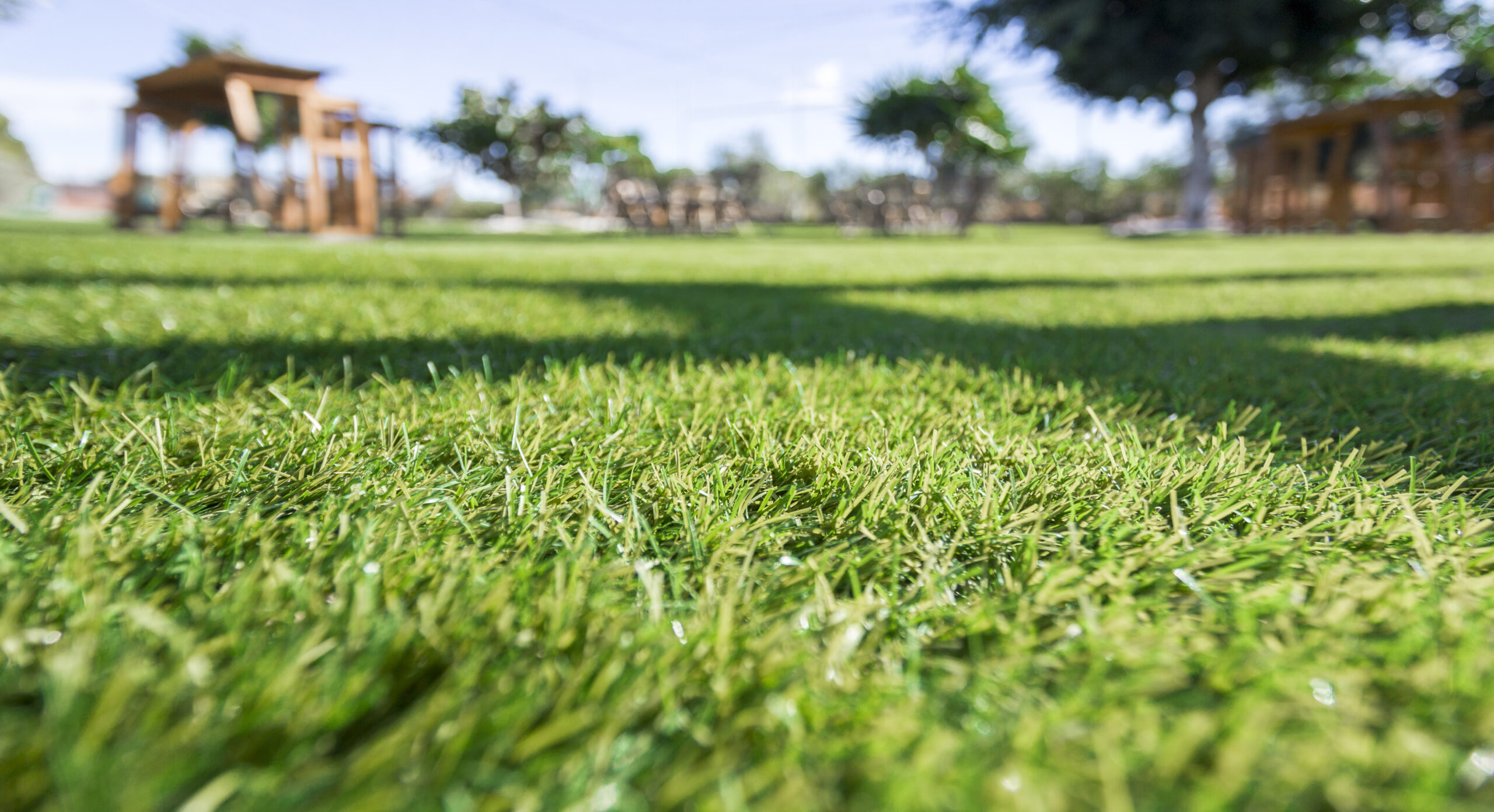 Artificial Grass 101: What it's Made of & Why It Matters
