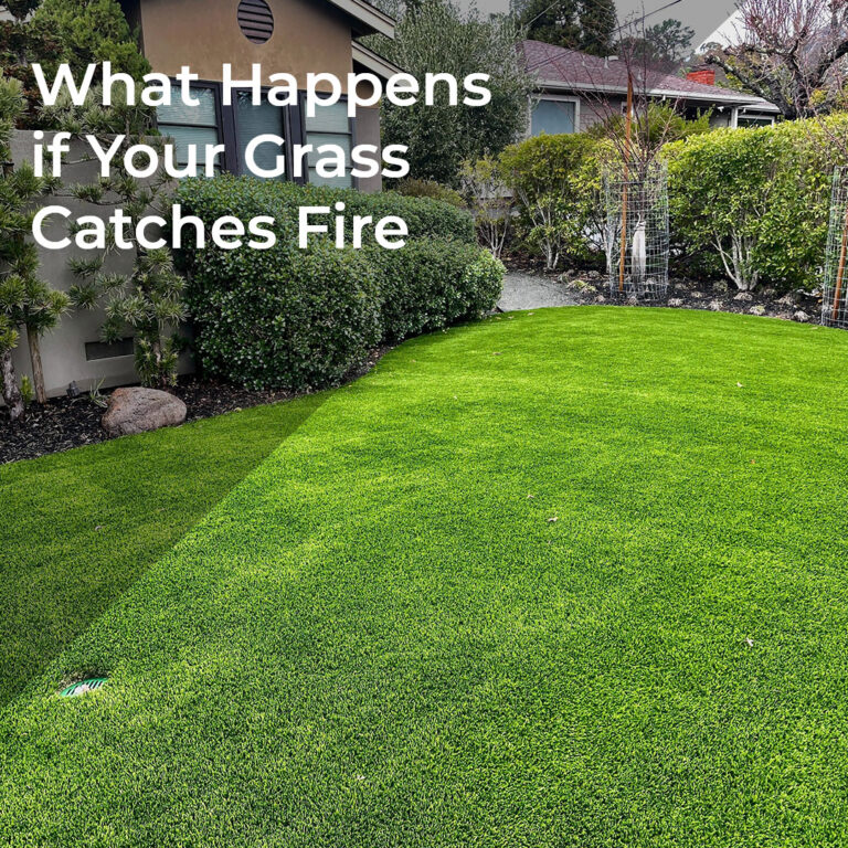 What Happens if Artificial Grass Catches Fire? - Realturf