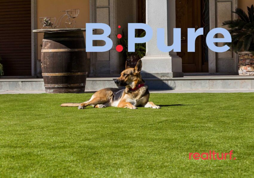 B.Pure Antimicrobial Turf Technology | Realturf USA
